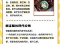 黑洋酥怎么做_黑洋酥配方比例