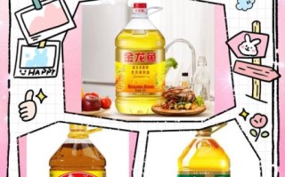 家庭长期吃什么油最好_哪种食用油最健康