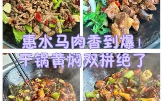 炖马肉怎么做好吃_炖马肉的做法大全