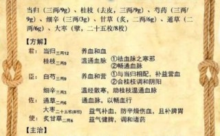 四逆汤的功效与作用_四逆汤适合哪些人