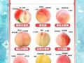 桃子的功效与作用_桃子营养价值高吗