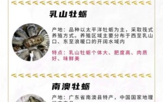 牡蛎是贝类还是软体动物_牡蛎属于什么动物