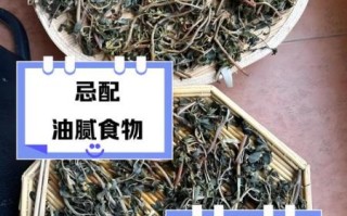 马齿苋不能和什么同吃_马齿苋相克食物有哪些