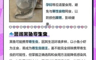 黑鱼什么人不能吃_黑鱼禁忌人群有哪些