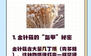 金针菇有毒吗_金针菇为什么叫see you tomorrow