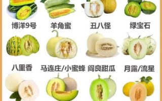 甜瓜和香瓜的区别_哪个更甜更好吃