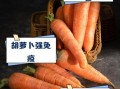 胡萝卜有什么营养价值_吃胡萝卜对眼睛好吗