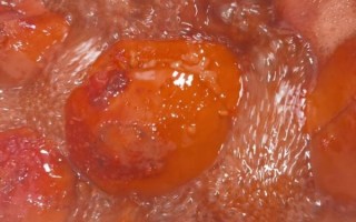 高压锅糯米藕怎么做_高压锅糯米藕要多久