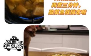 酸菜鱼调料包怎么用_酸菜鱼调料包哪个牌子好吃