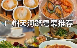 粤菜食谱大全app下载_哪个粤菜食谱app好用