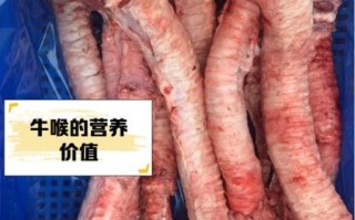 牛黄喉是牛的哪个部位_牛黄喉和牛肚区别