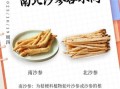 沙参的功效与作用_沙参适合什么人吃
