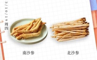 沙参的功效与作用_沙参适合什么人吃
