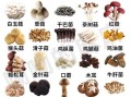 蘑菇大全名称图片_如何识别常见食用菌