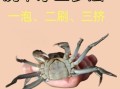 活螃蟹怎么处理_活螃蟹怎么清洗