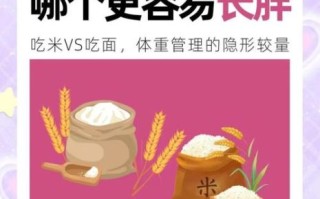 吃面条和米饭哪个更容易胖_减肥主食选择