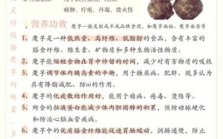魔芋能减肥吗_魔芋的功效与作用