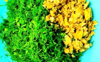 茴香菜素饺子馅怎么做_茴香菜素饺子馅做法大全