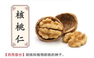 核桃仁的功效与作用_每天吃多少合适