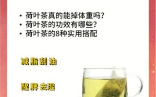 荷叶怎么制作荷叶茶_荷叶茶的功效与作用
