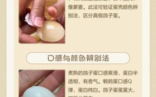 假鸽子蛋煮熟后怎么辨别_假鸽子蛋煮熟后图片特征
