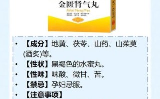 肾阳虚吃什么药最好男_肾阳虚怎么调理