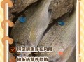 鲷鱼的营养价值_鲷鱼吃了有什么好处