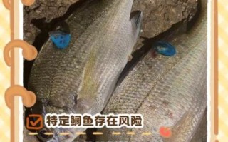 鲷鱼的营养价值_鲷鱼吃了有什么好处