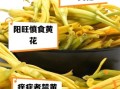 黄花菜不能和什么一起吃_哪些人不能吃黄花菜