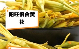 黄花菜不能和什么一起吃_哪些人不能吃黄花菜