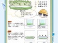 怎么泡绿豆芽_绿豆芽发芽最快方法