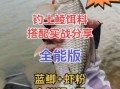 鲮鱼饵料能钓鲫鱼吗_实战效果与配方调整