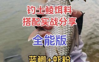 鲮鱼饵料能钓鲫鱼吗_实战效果与配方调整
