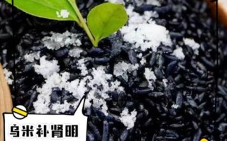 乌米饭的由来是什么_乌米饭有什么功效