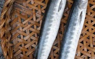 狼鱼条多少钱一斤_狼鱼条价格行情