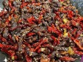 麻辣牛肉干怎么做才够干_麻辣牛肉干腌制多久才入味