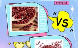 红小豆和赤小豆的区别_哪个更养生