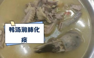 鸭架汤的禁忌_哪些人不能喝鸭架汤