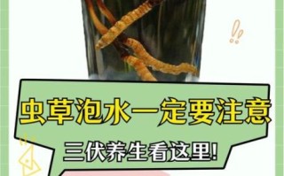 虫草花泡水一次几根_虫草花泡水用量多少合适