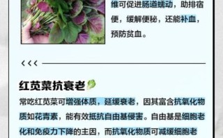 红苋菜孕妇能吃吗_孕妇吃红苋菜注意事项