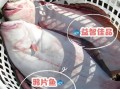鸦片鱼的功效与作用禁忌_鸦片鱼什么人不能吃