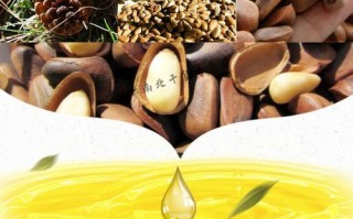松子油价格多少钱一斤_松子油为什么这么贵