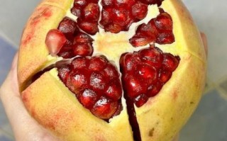 石榴视频app进入窗口下载_石榴视频安全吗