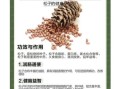松子有什么营养价值_松子一天吃多少粒合适