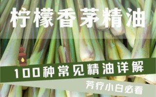 柠檬香茅长什么样_柠檬香茅图片怎么拍