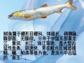 鳡鱼分布在哪些省份_鳡鱼主要产地