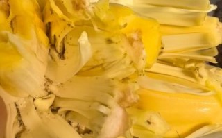 菠萝蜜吃多了会拉肚子吗_吃多少算过量