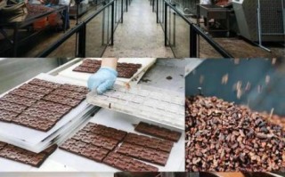 巧克力怎么做_可可豆到巧克力的全过程