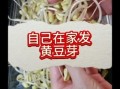 黄豆芽怎么发_黄豆芽的做法窍门