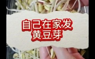 黄豆芽怎么发_黄豆芽的做法窍门